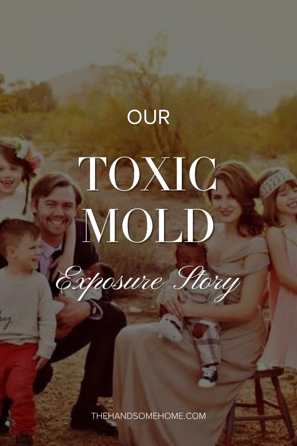 Our Toxic Mold Exposure Story: From Dream Home to Worst Nightmare ...